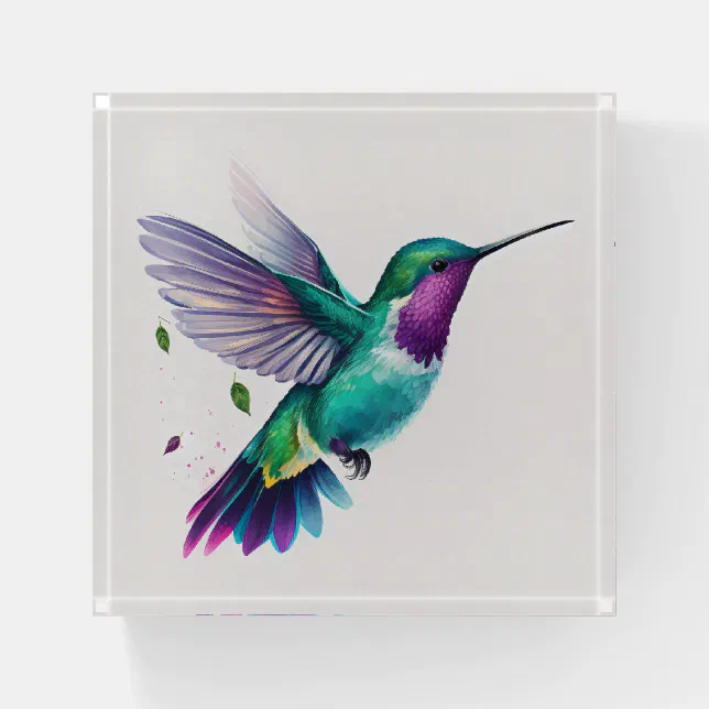 Beautiful Vibrant Watercolor Hummingbird graphic Paperweight | Zazzle