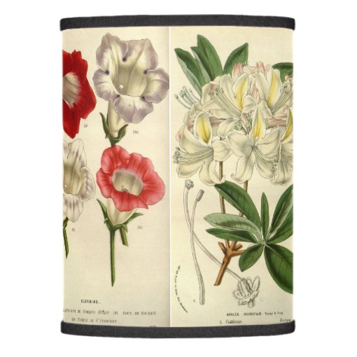 Beautiful vintage botanical art flower lamp shade | Zazzle