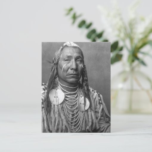 Beautiful Vintage Native American Portrait Postcar Postcard | Zazzle