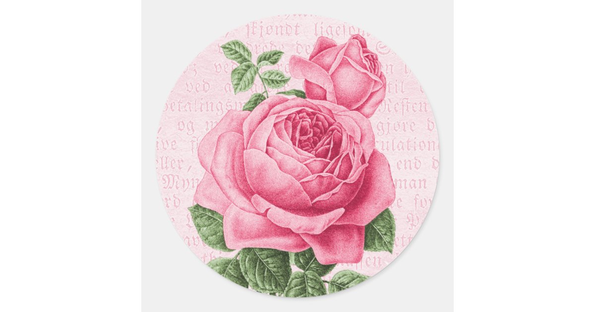 Beautiful vintage pink rose classic round sticker | Zazzle