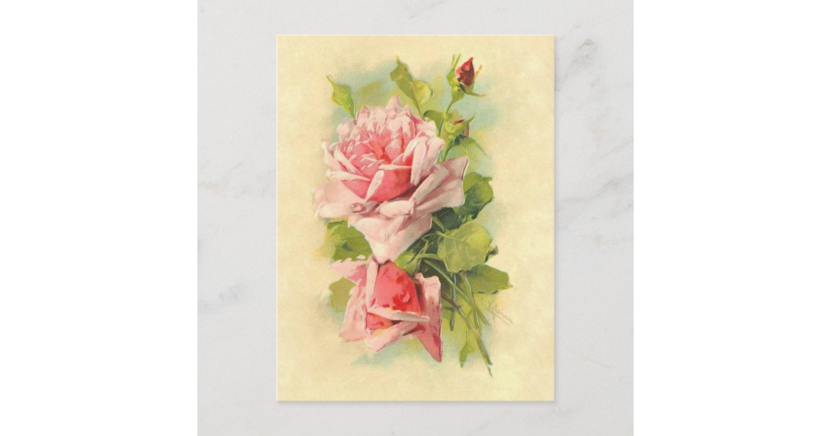 Beautiful Vintage Victorian Flower Roses Bouquet Postcard | Zazzle