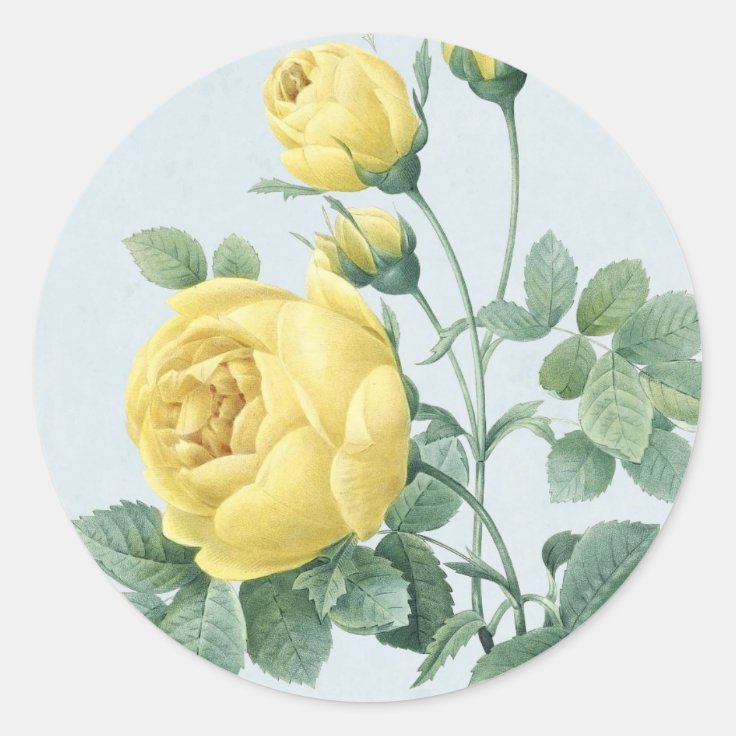 Beautiful vintage yellow rose sticker | Zazzle