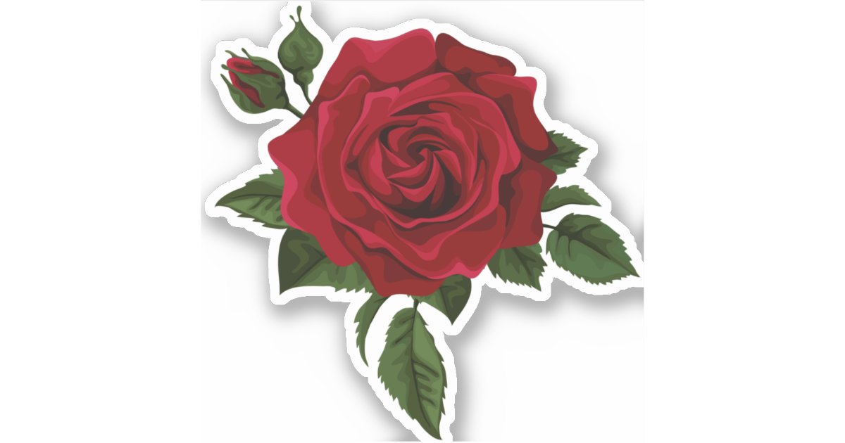 Beautiful Watercolor Red Rose Flower Sticker | Zazzle