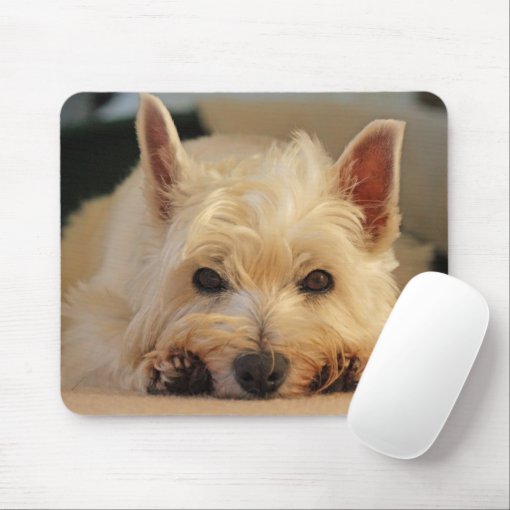 Beautiful Westie Dog Mouse Pad / Mouse Mat | Zazzle