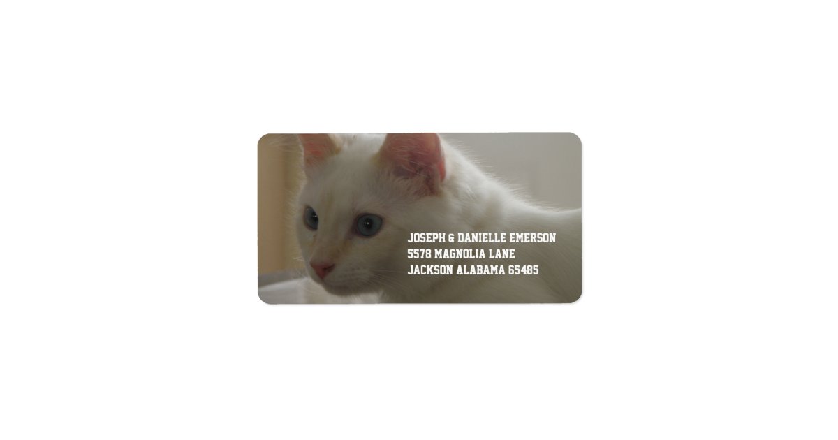 Beautiful White Cat Address Labels | Zazzle