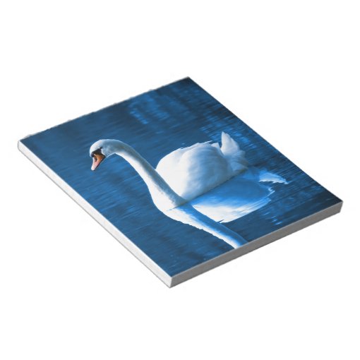 Beautiful white swan in water notepad | Zazzle