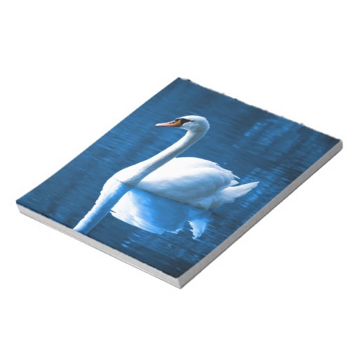 Beautiful white swan in water notepad | Zazzle