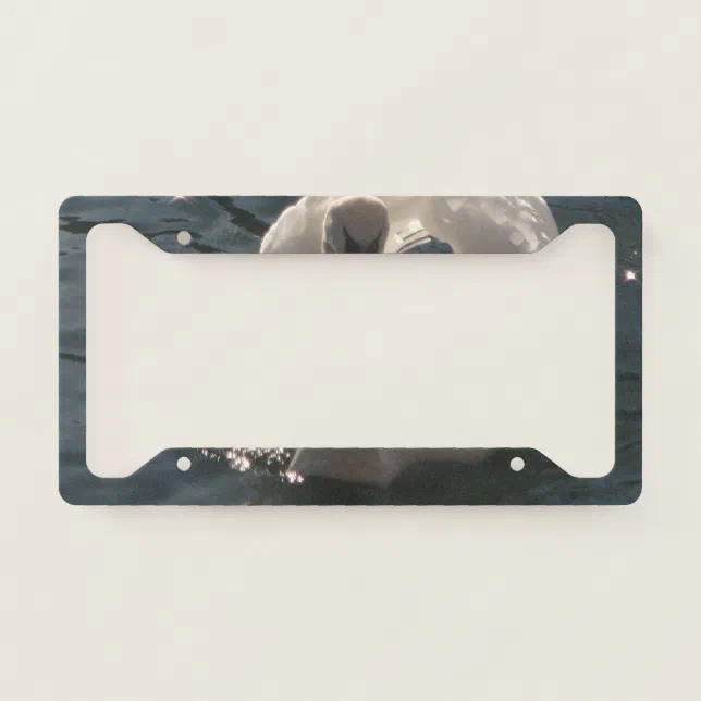 Beautiful white swan license plate frame | Zazzle