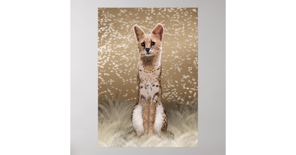 Beautiful Wild African Serval Cat Poster | Zazzle