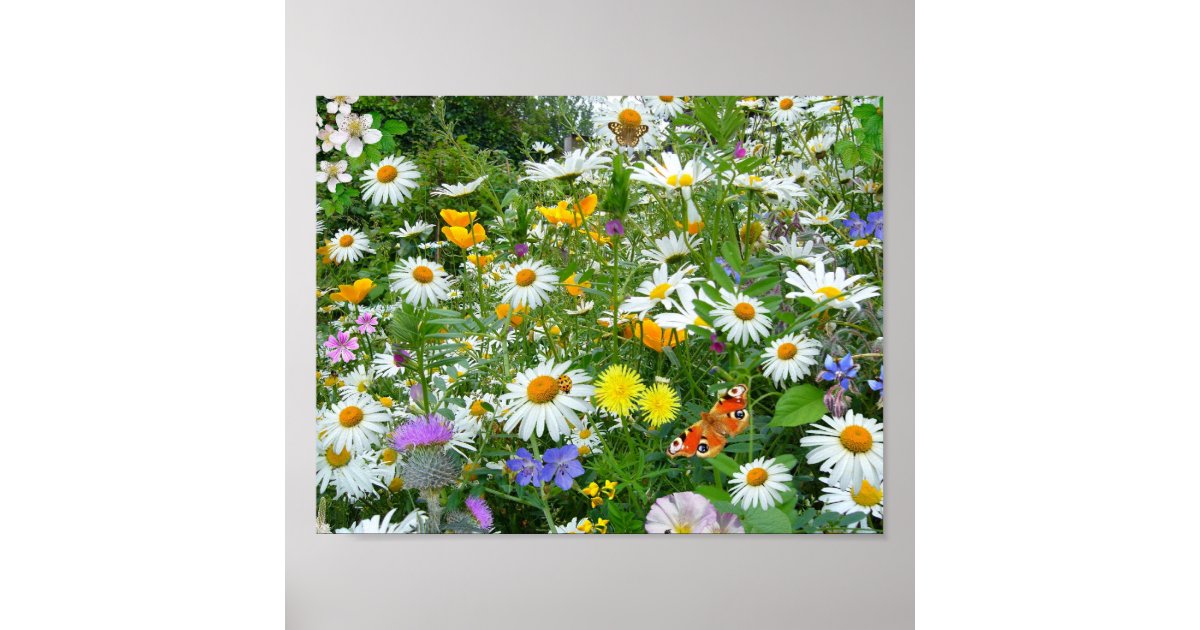 Beautiful Wildflower and Butterfly Meadow Poster | Zazzle