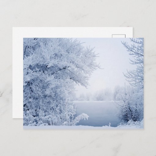 Beautiful winter landscape postcard | Zazzle