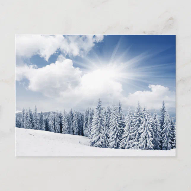 Beautiful Winter Landscape With Snow Postcard | Zazzle