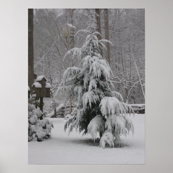 Beautiful Winter Scene Poster | Zazzle.com