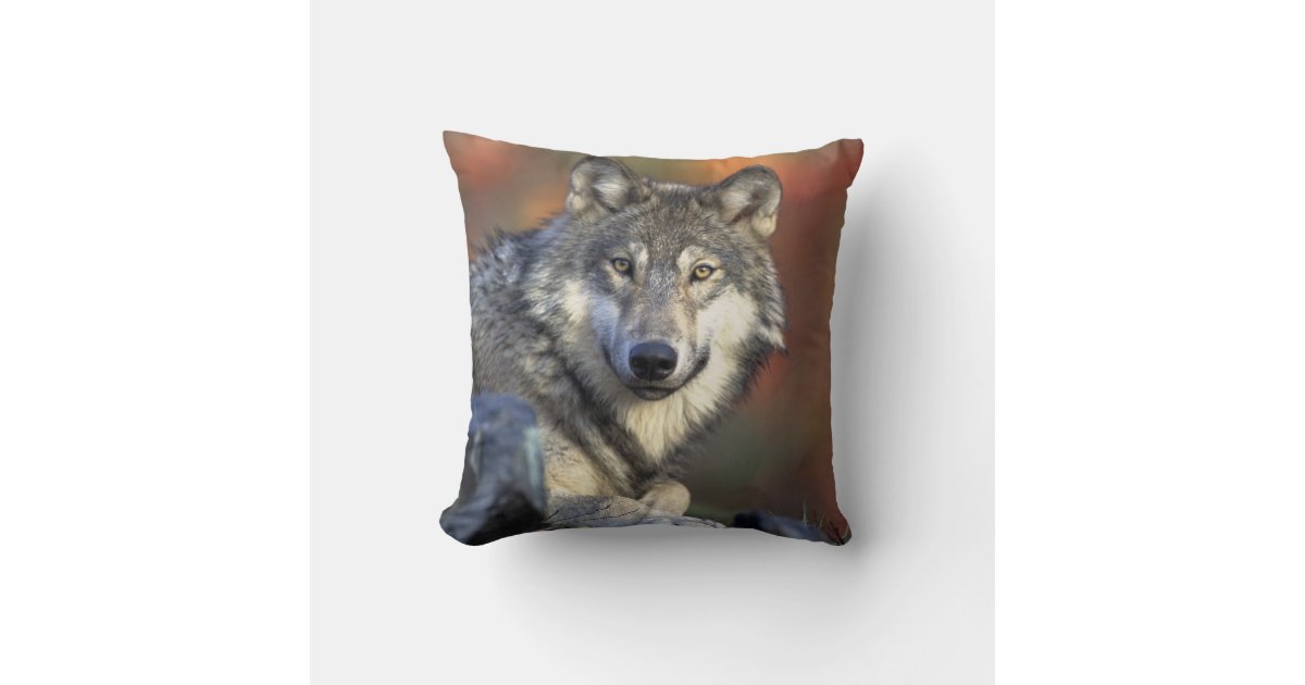 Beautiful Wolf Throw Pillow | Zazzle