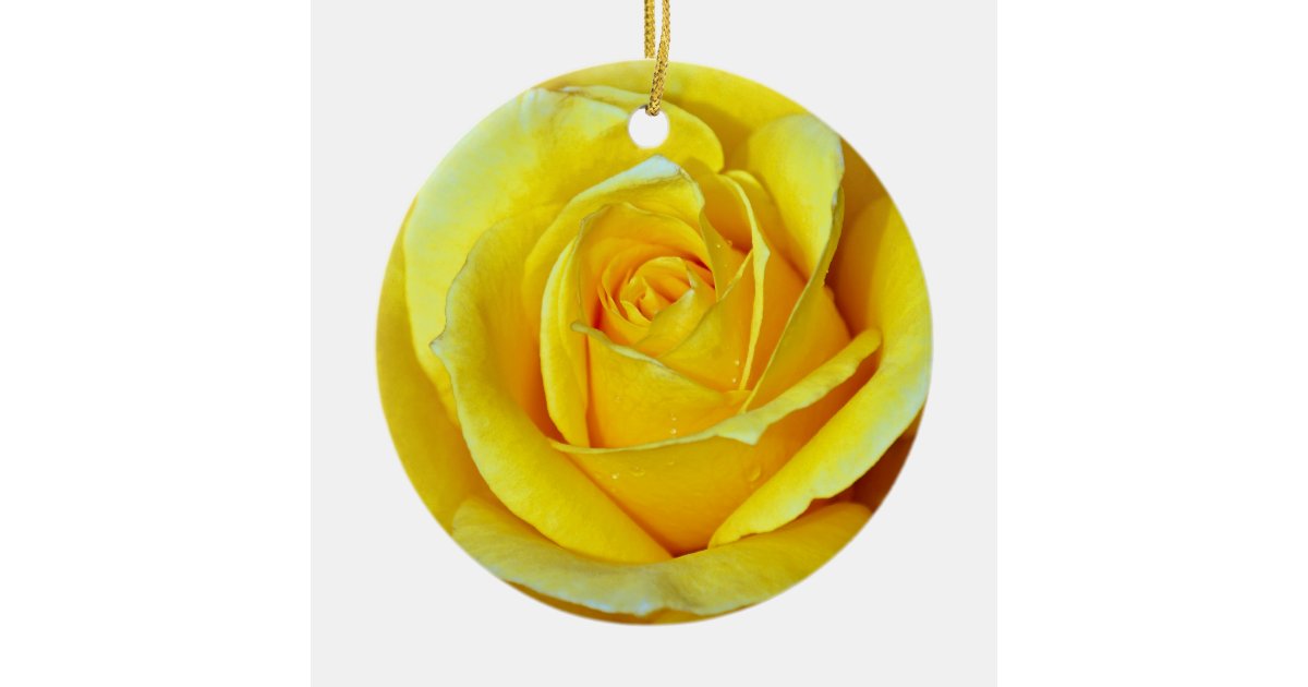 Beautiful yellow rose christmas ornament | Zazzle