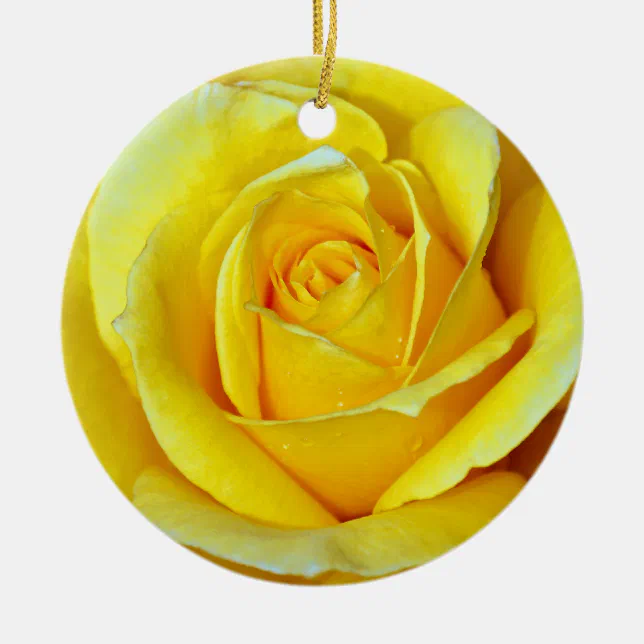 Beautiful yellow rose christmas ornament | Zazzle