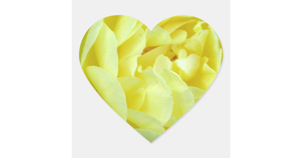 Beautiful Yellow Rose Heart Sticker | Zazzle