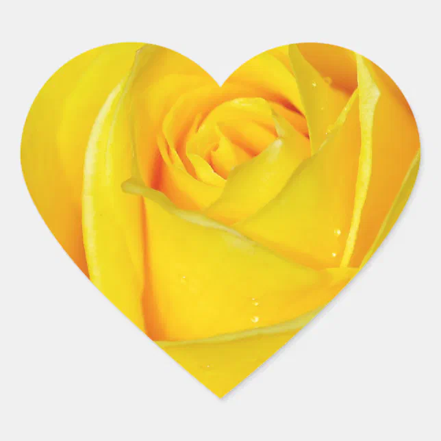 Beautiful yellow rose petals heart sticker | Zazzle