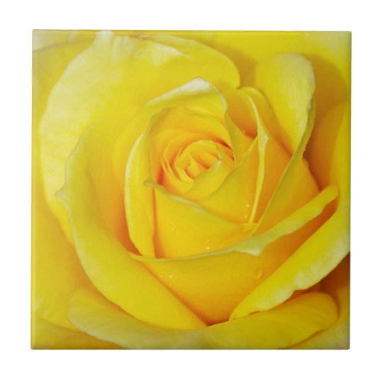 Beautiful yellow rose petals tile | Zazzle.com