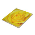 Beautiful yellow rose petals tile | Zazzle