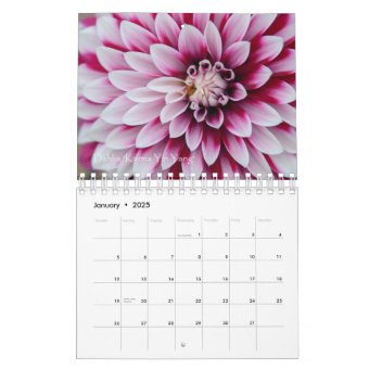 Beauty of Dahlias Flowers 2020 Calendar | Zazzle