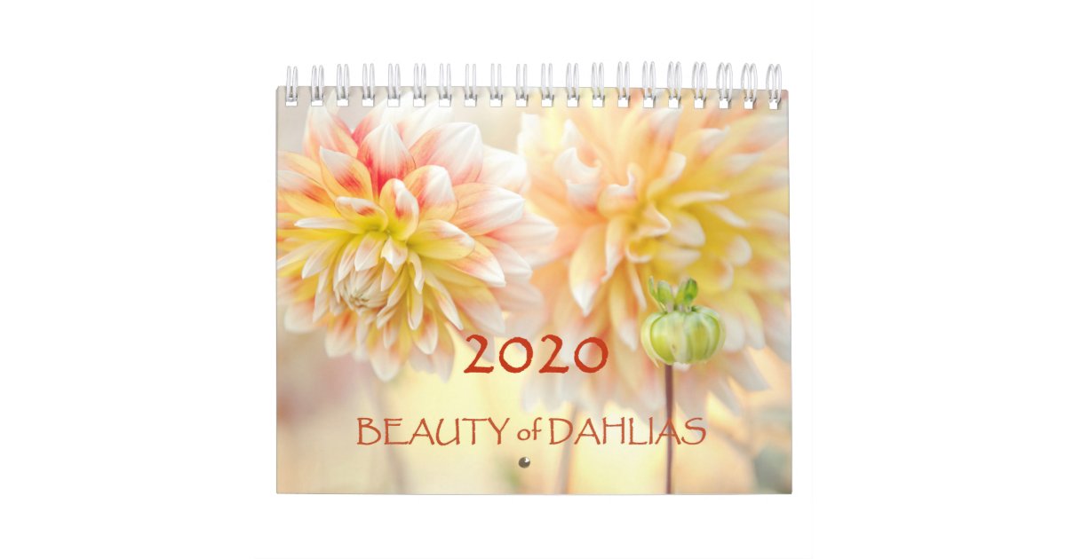 Beauty of Dahlias Flowers 2020 Calendar | Zazzle