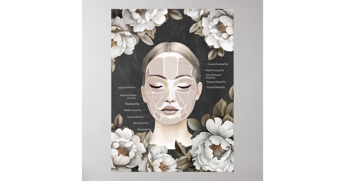 Beauty Salon Facial Anatomy Wall Decor | Zazzle