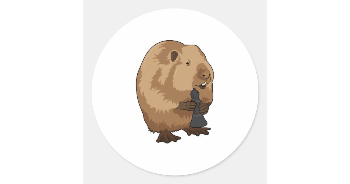Beaver at Chess with Chess piece Bishop Classic Round Sticker | Zazzle