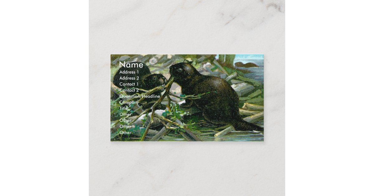 Beaver Business Card | Zazzle