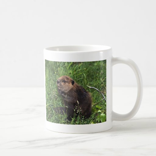 Beaver Coffee Mug | Zazzle