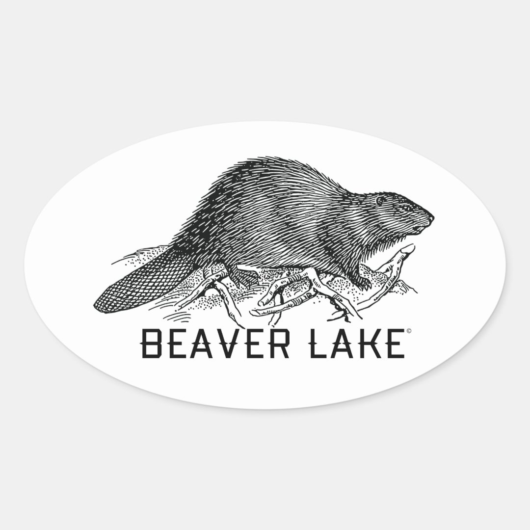 Beaver Lake Oval Sticker | Zazzle