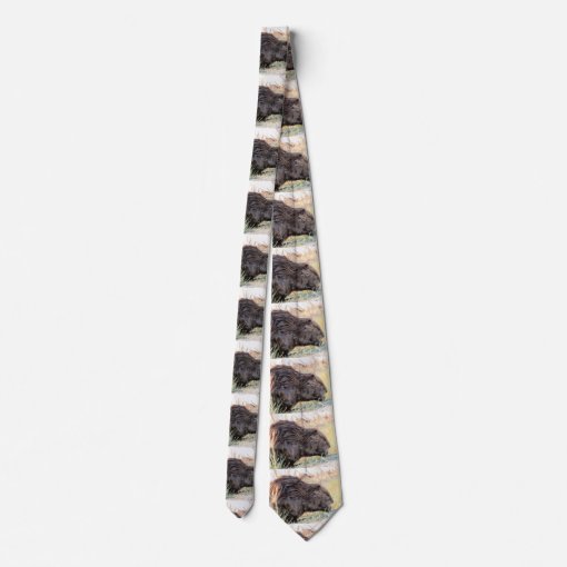 Beaver Neck Tie | Zazzle