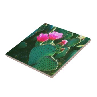 Beavertail Cactus Flowers Ceramic Tile | Zazzle
