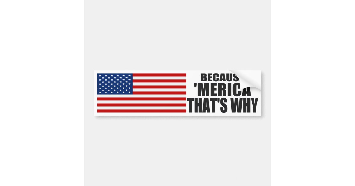 BECAUSE 'MERICA THAT'S WHY Bumper Sticker | Zazzle