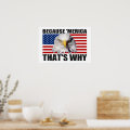 BECAUSE 'MERICA THAT'S WHY US Flag Poster (large) | Zazzle