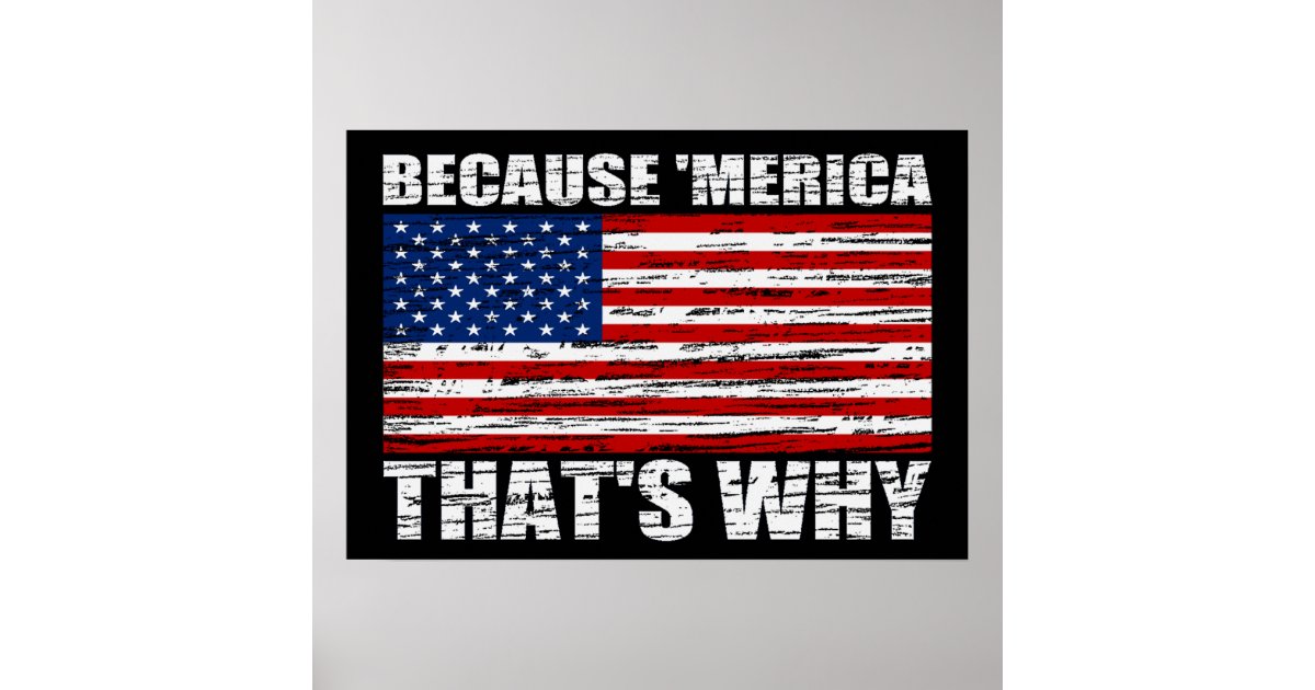 BECAUSE 'MERICA THAT'S WHY US Flag Poster (small) | Zazzle