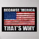 BECAUSE 'MERICA THAT'S WHY US Flag Poster (small) | Zazzle