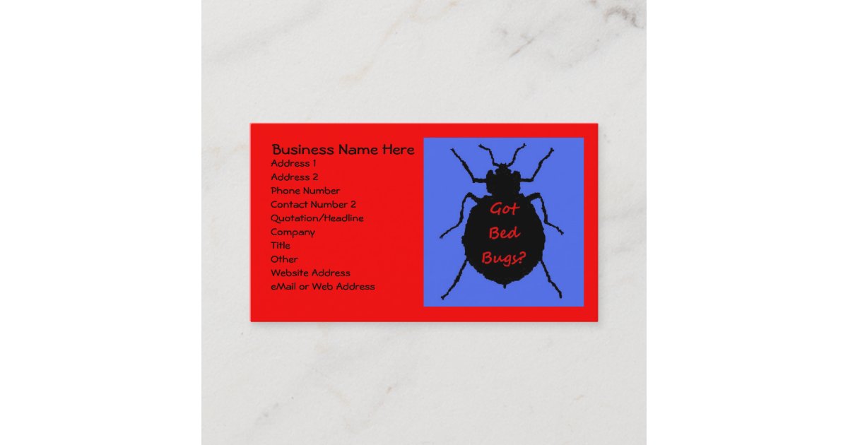 Bed Bug Business Card | Zazzle