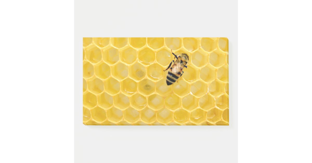 bee and honeycomb post-it notes | Zazzle