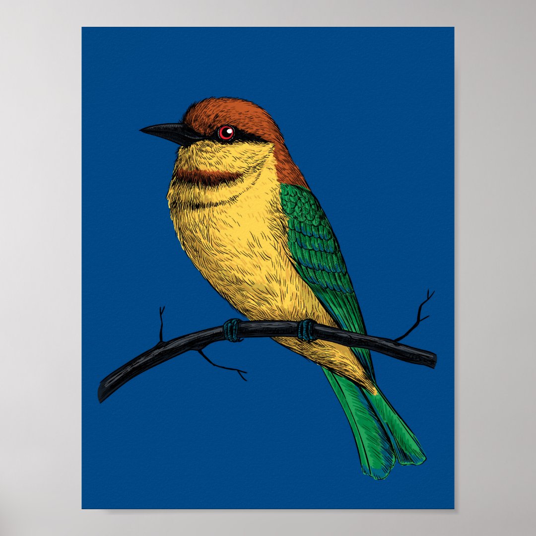 Bee eater poster | Zazzle