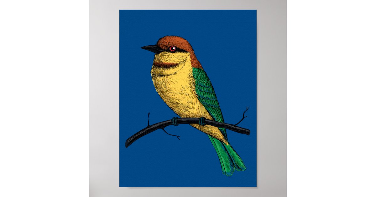 Bee eater poster | Zazzle