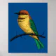 Bee eater poster | Zazzle