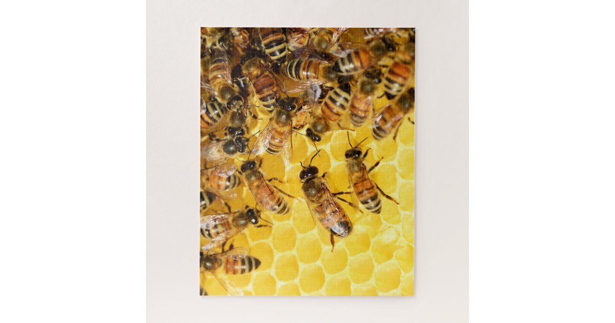Bee Hive Honey Bees Photo Puzzle | Zazzle