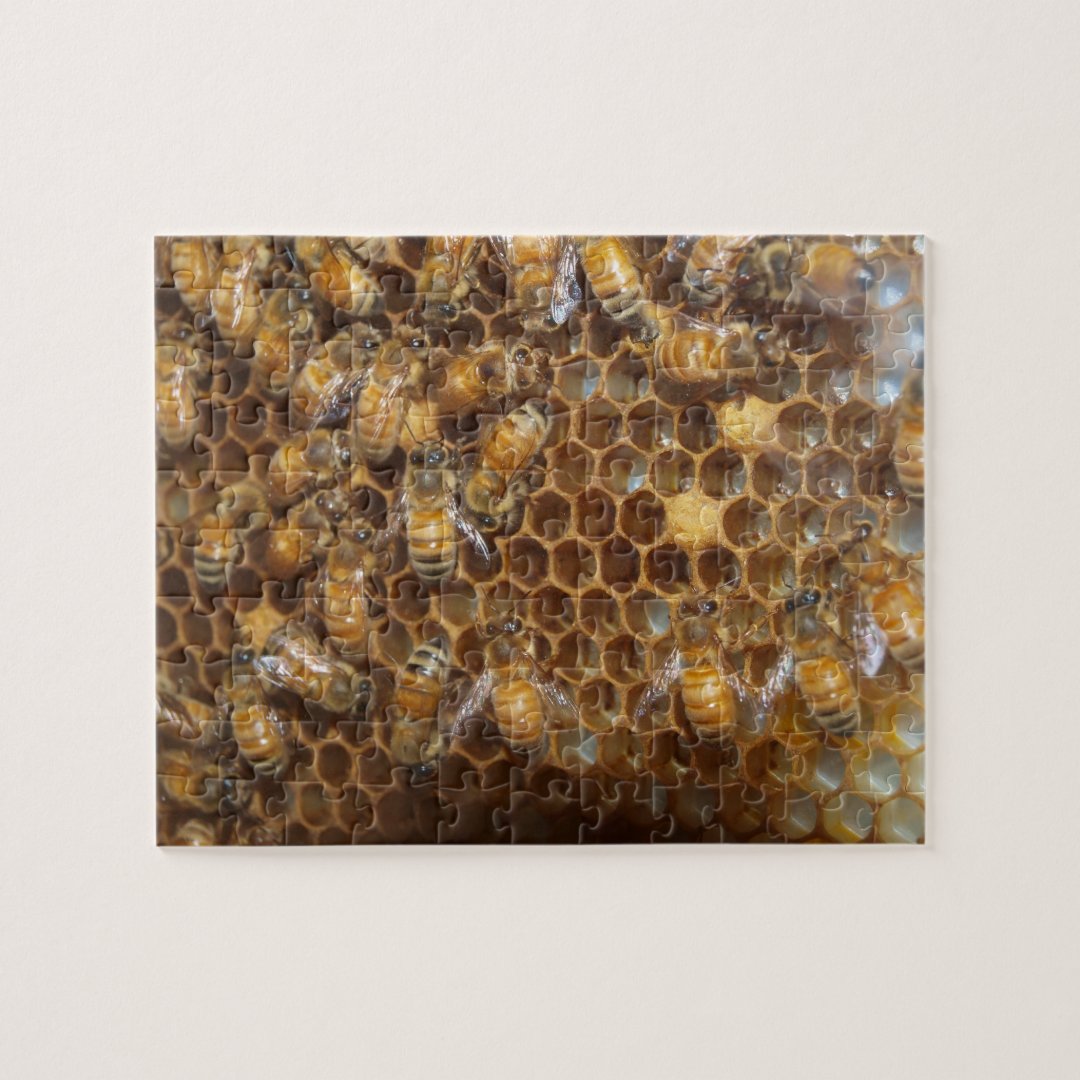 Bee Hive Jigsaw Puzzle | Zazzle