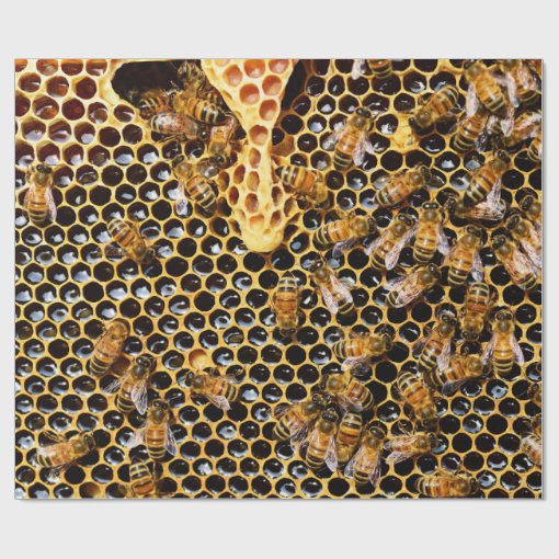 Bee Hive with Honeycomb Up Close Wrapping Paper | Zazzle