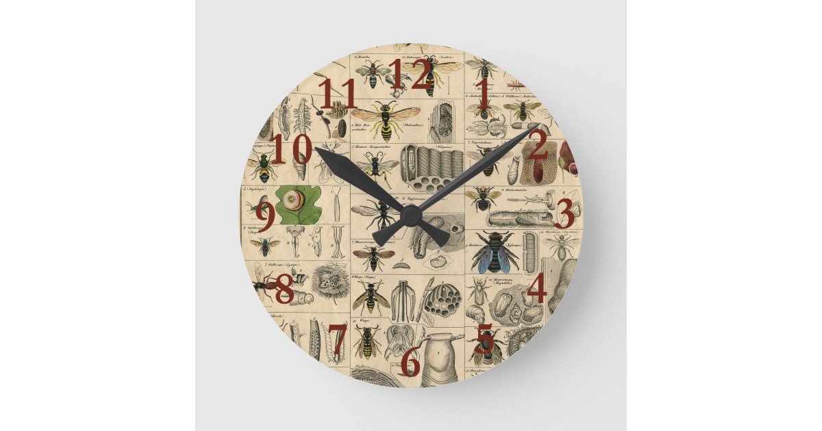 Bee Insect Bug Wasp Natural Nature Bees Painting Round Clock | Zazzle