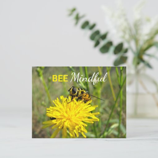 Bee Mindful Bumble Bee Dandelion Flower Postcard | Zazzle