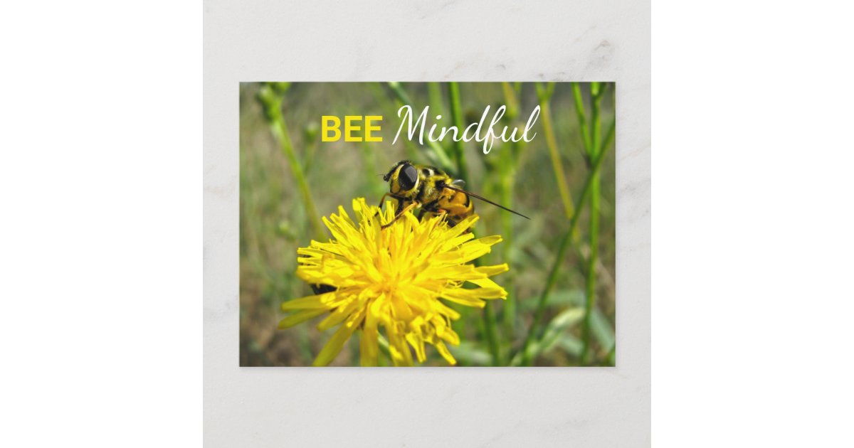 Bee Mindful Bumble Bee Dandelion Flower Postcard | Zazzle