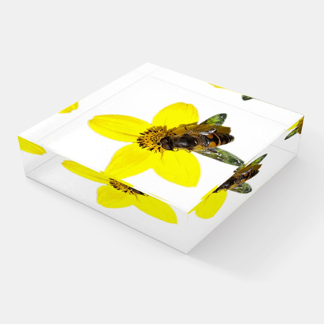 Bee on a yellow flower paperweight | Zazzle