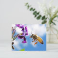 Bee Postcard | Zazzle